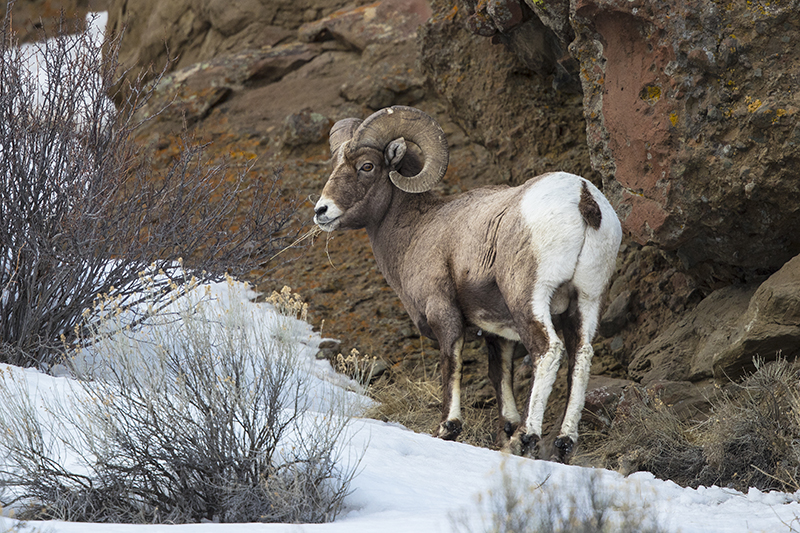 Nature Photography, Bill & Sharon Draker, Nature Photographers