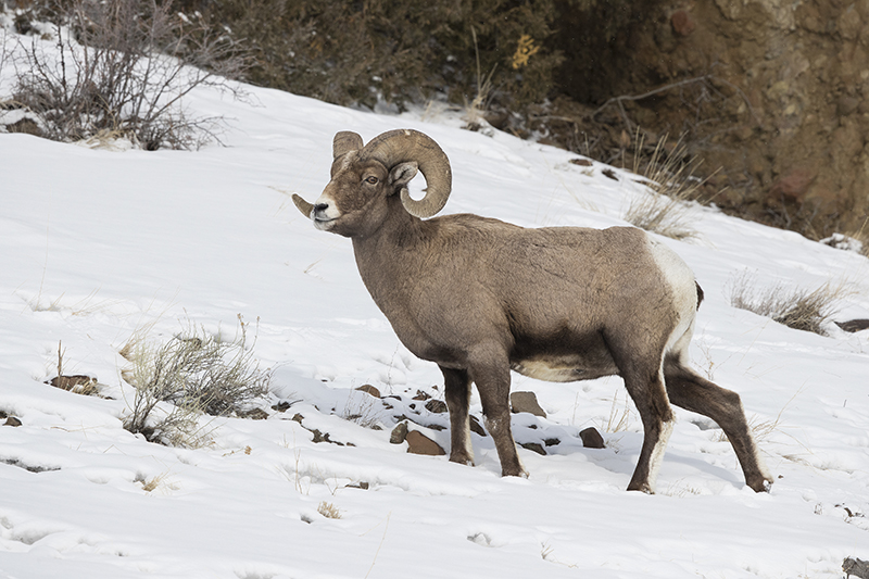 Nature Photography, Bill & Sharon Draker, Nature Photographers