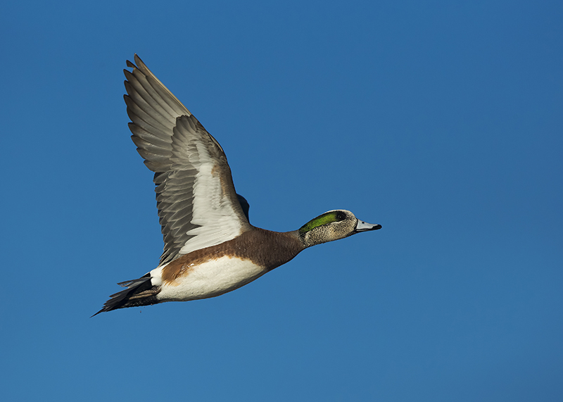 Nature Photography, Bill & Sharon Draker, Nature Photographers